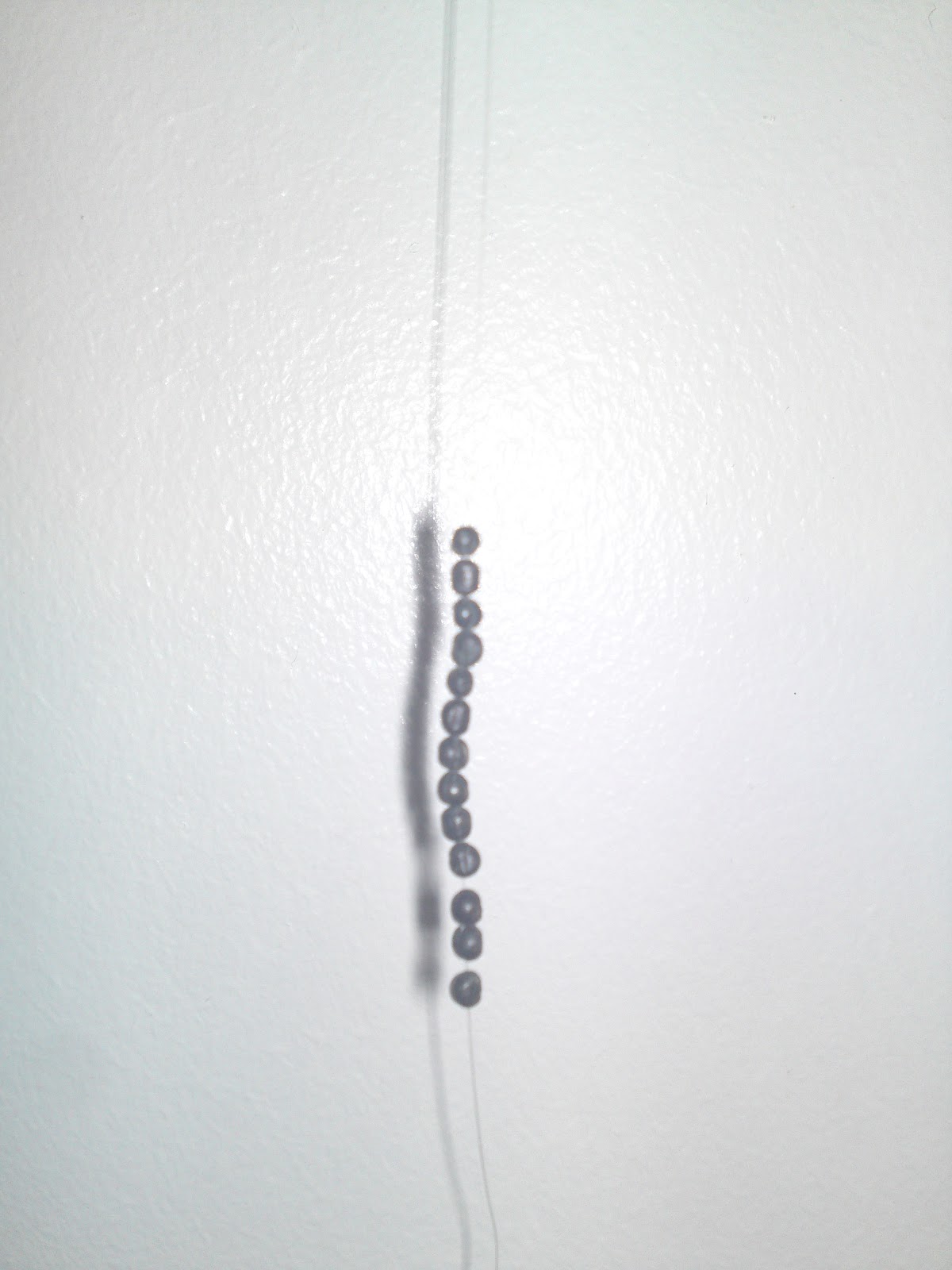 Fish4Thought: Perfect Paste Rig