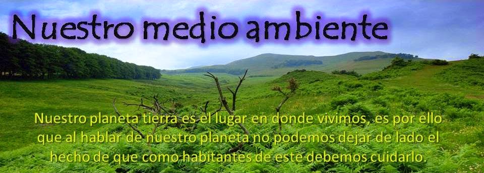 Medio Ambiente: FRASES DE MEDIO AMBIENTE