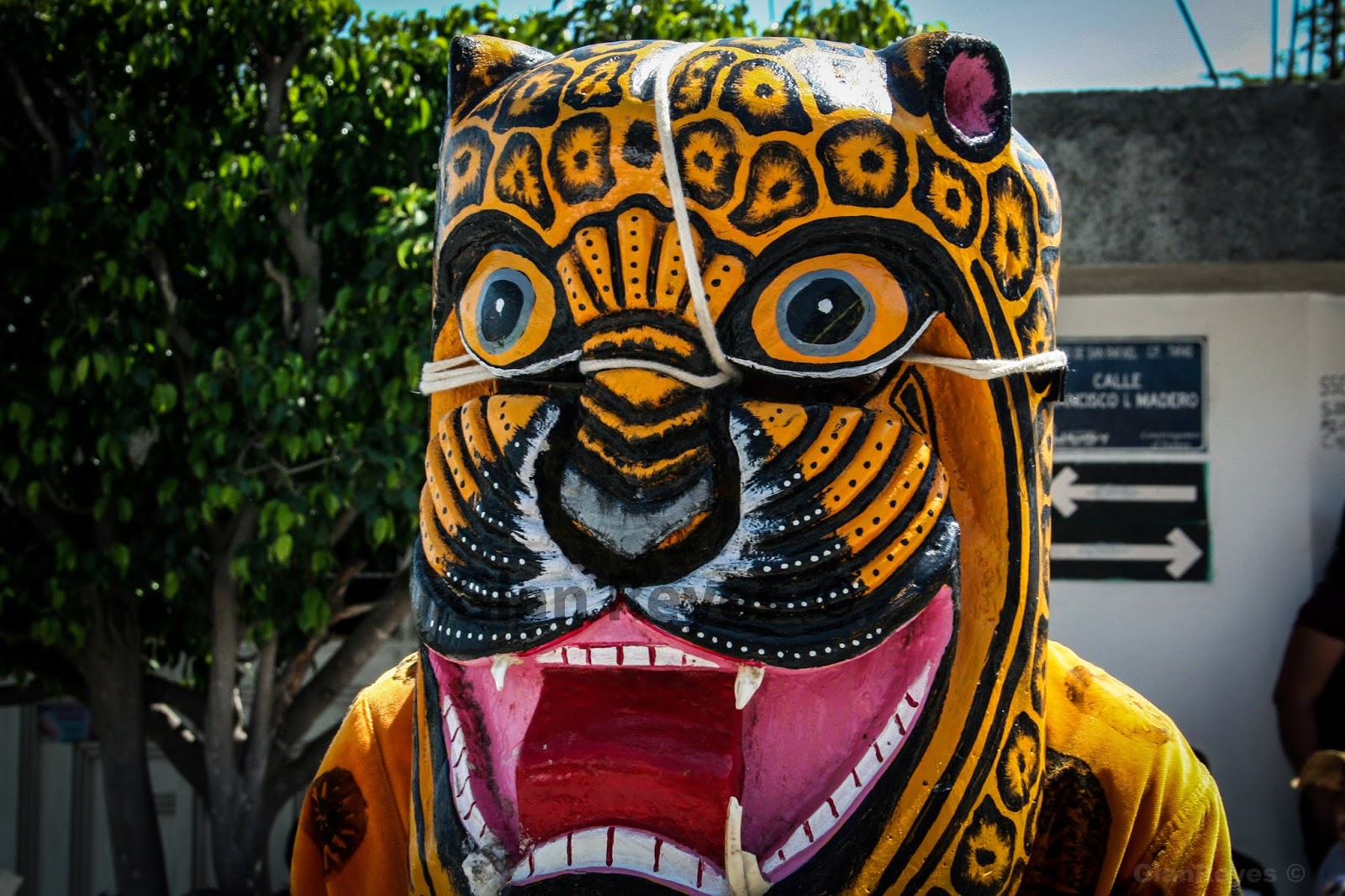 FoToRAma: Máscaras de Tecuan#Tigre#Jaguar
