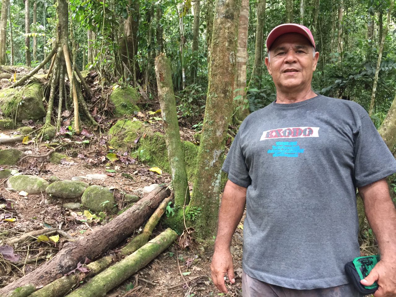Carlos Riascos: El Médico que sembró un bosque y salvó miles de vidas ...