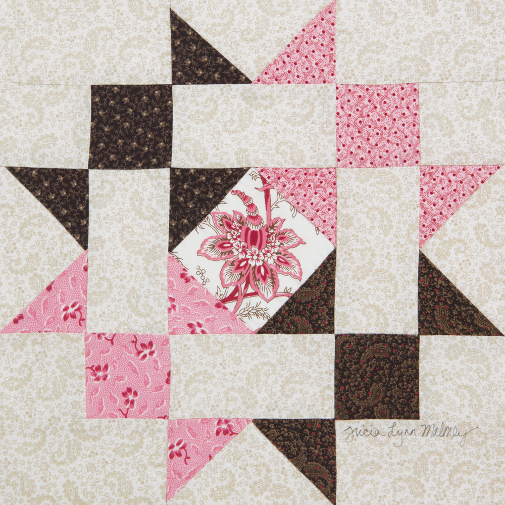 Quilt With a View: 100 Quilt Block Blog Hop