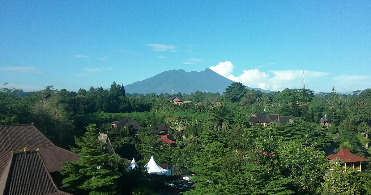 Wisata Alam di Taman Nasional Gunung Halimun Salak (TNGHS) - Sukabumi