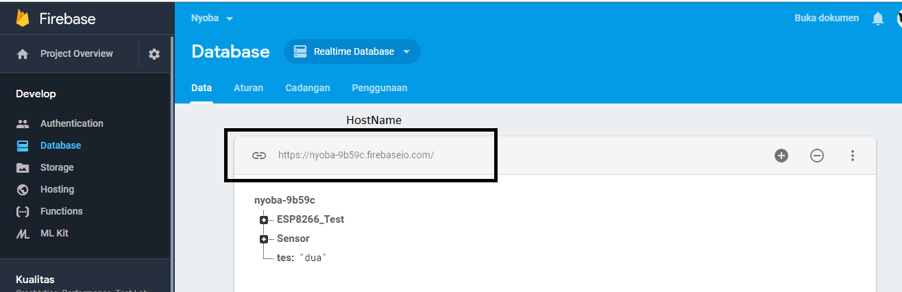 ESP8266 FIREBASE | SINAU PROGRAMMING
