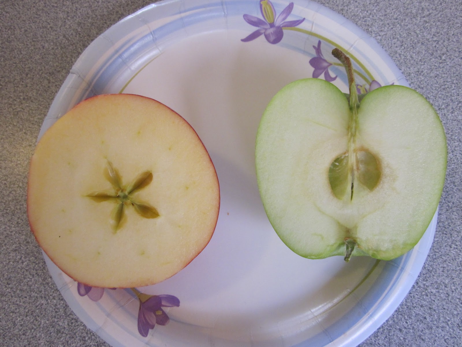 Pam Hyer: Color Book: RED