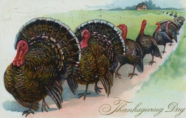 Nothing But Limericks: Turkey Parade - Thanksgiving Limericks