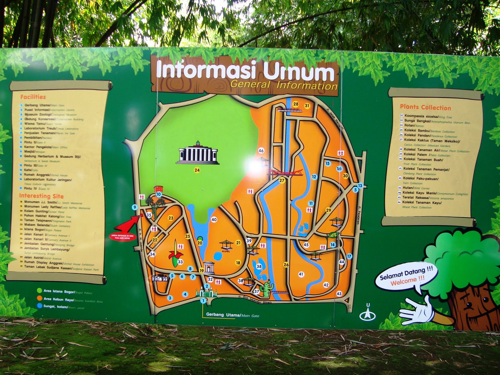 mosesrosa: Kebun Raya Bogor dan Istana Bogor