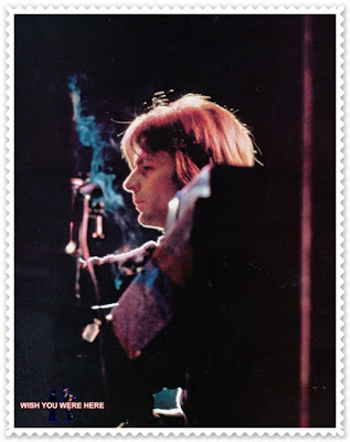 Pink Floyd Ilustrado: Shine On You Crazy Diamond (Parts 6-9)