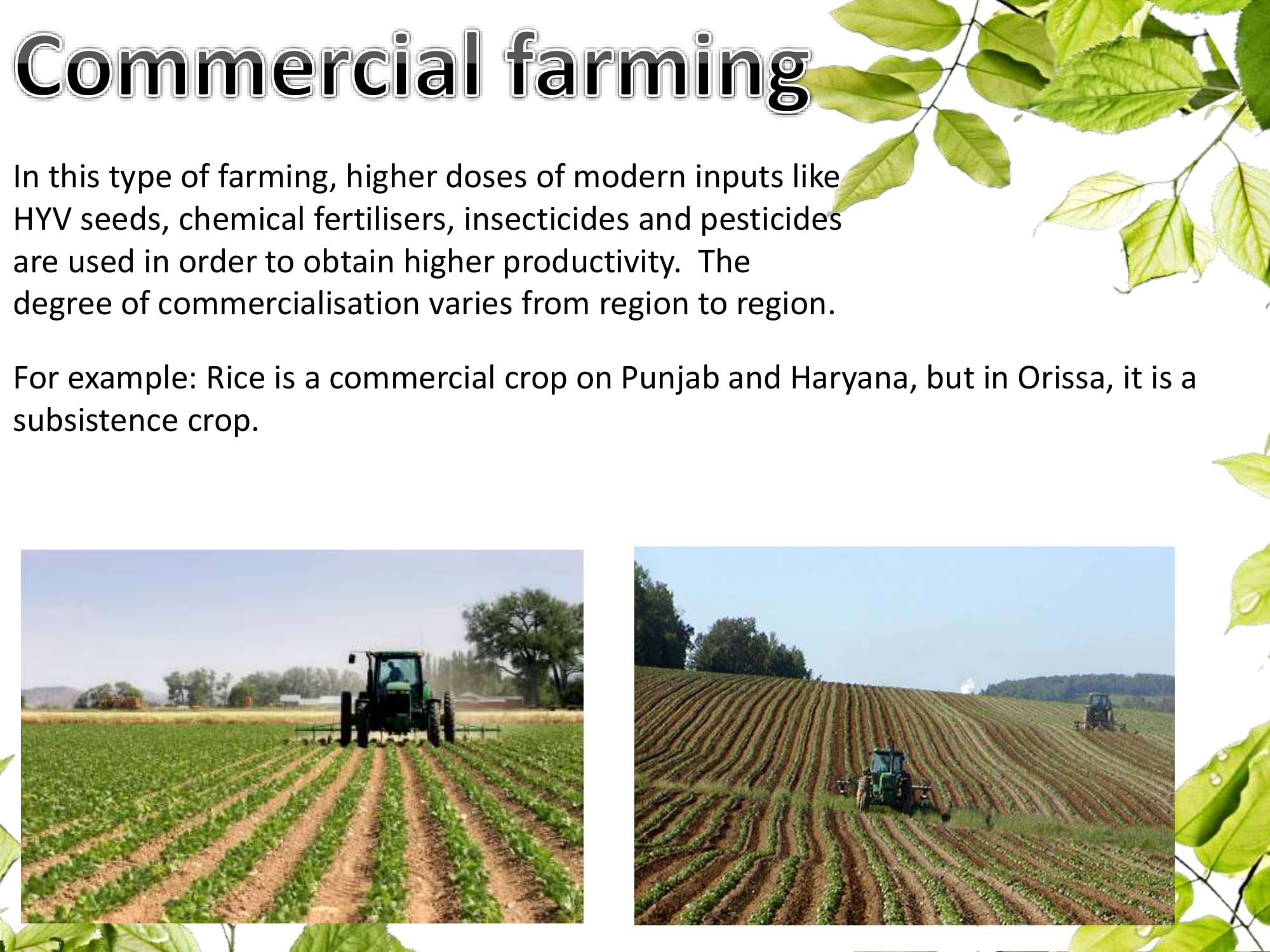 Agriculture Class 10th PPT