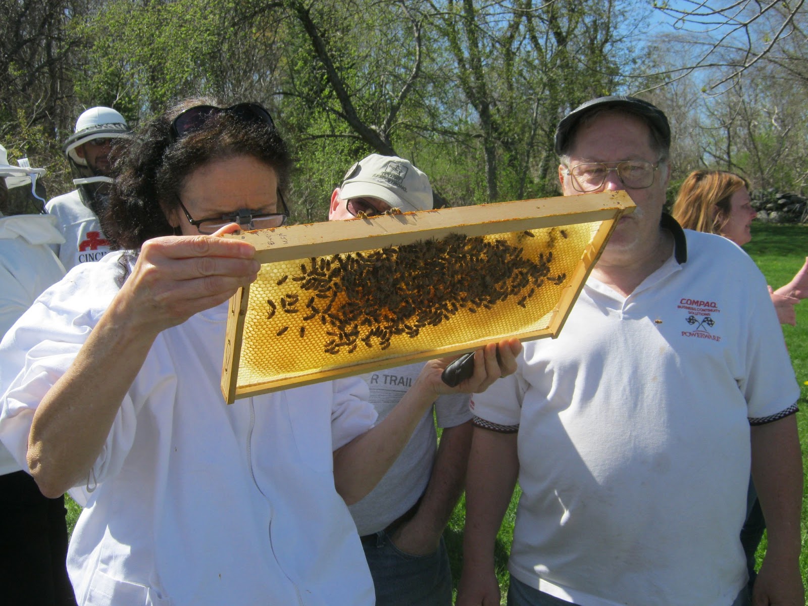 Steven's Bees: First Outdoor Bee Meeting, and a Quick Check