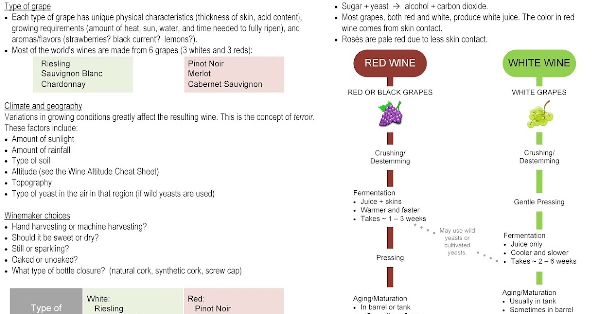 Clear Lake Wine Tasting: Wine Infographic: Wine 101 Cheat Sheet