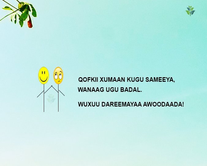 Wanaaga ku dadaal - Xikmad | Xikmado