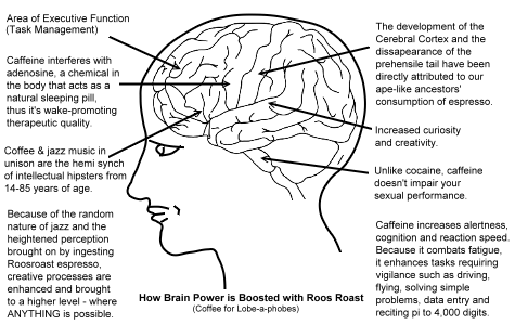 MIRACULUM MUNDI: COFFEE FOR BRAIN 1