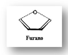 Bioquimica Para La Vida: Carbohidratos