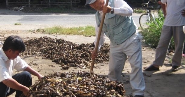 ようこそJGRF（特定非営利活動法人草の根協働福岡）へ！: 『特定非営利活動法人 草の根協働福岡（JGRF）』は、ベトナム国で営業許可書を取得 ...