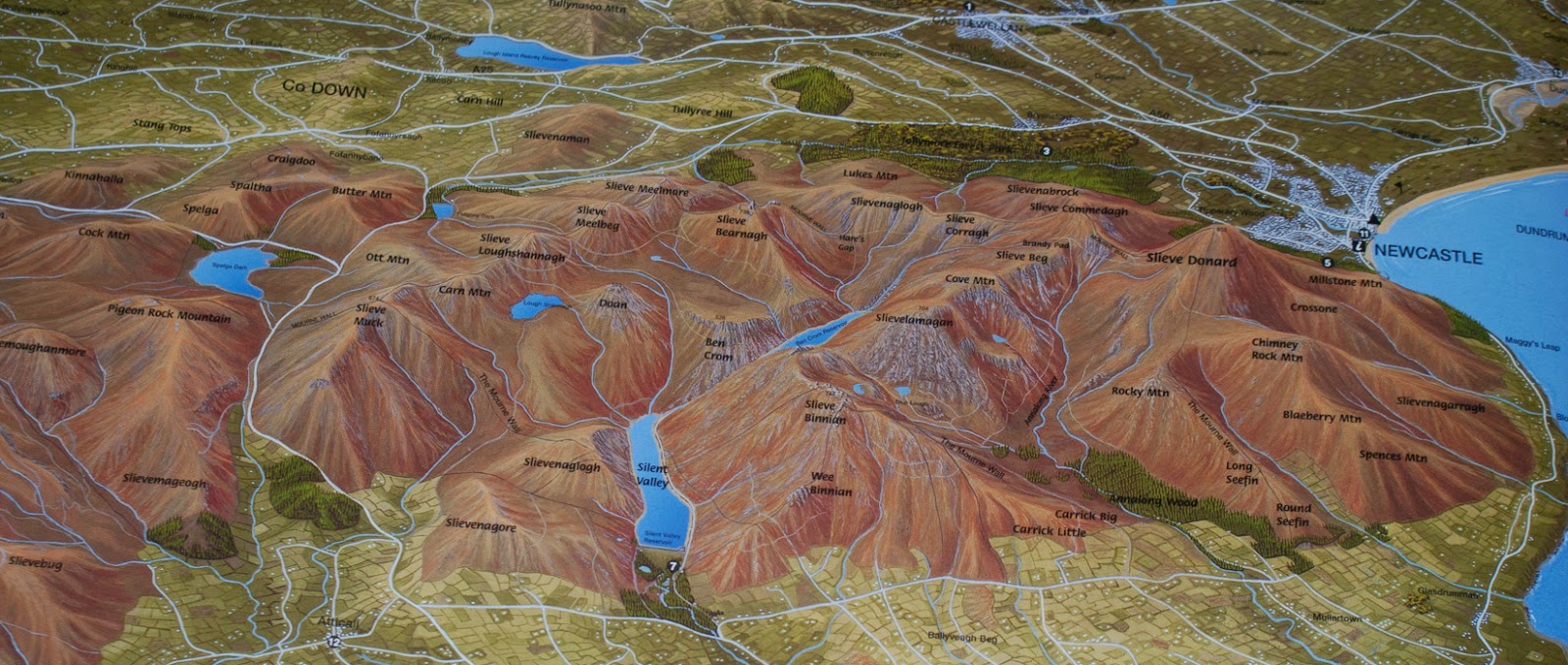 Heritage Ulster: Co Down Mourne Country