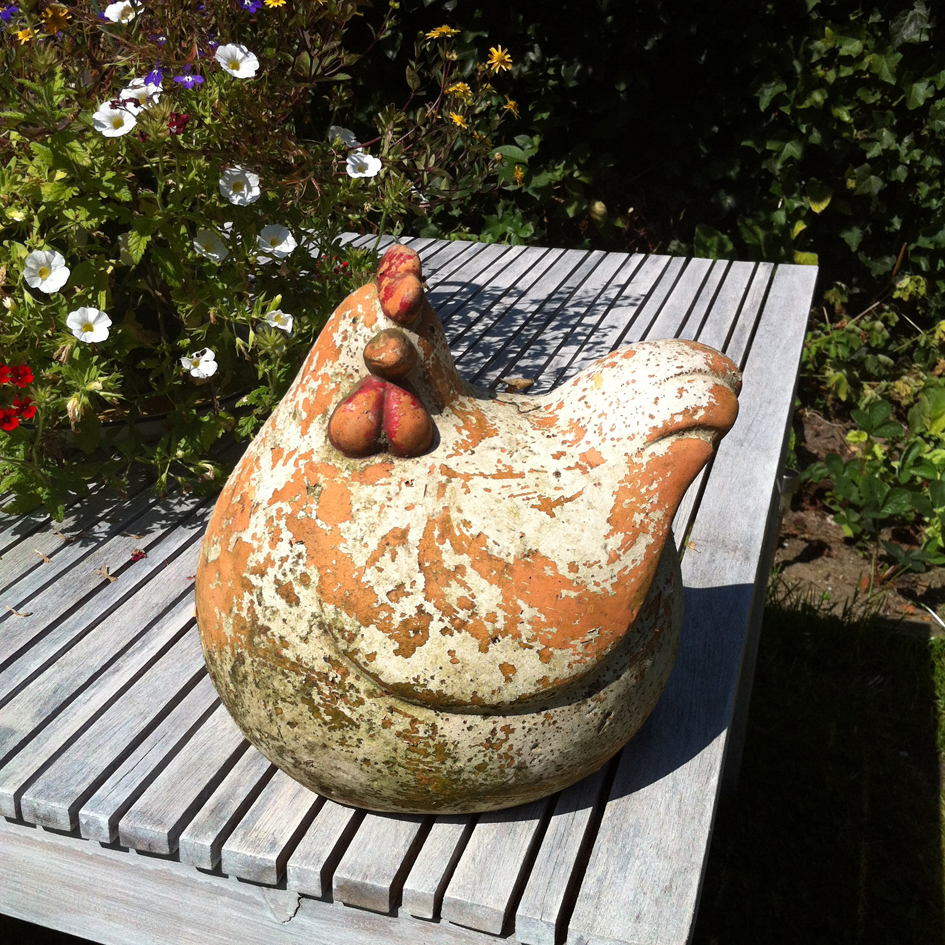 Wat maakt ze nu weer?: Kale kip