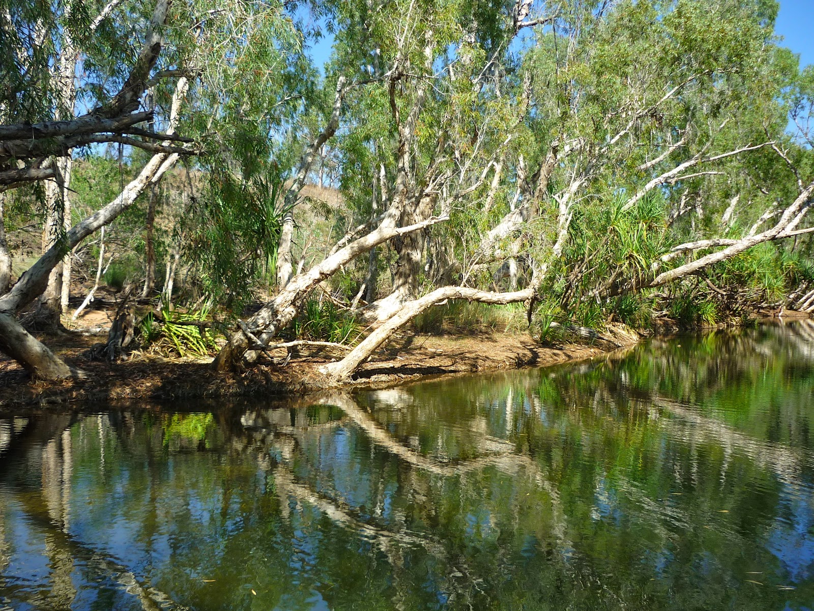 Life @ Robinson River: Reflections from The Top of the Page