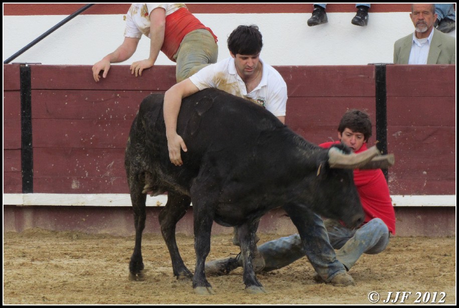 O Filho da Terra: Treino dos Forcados de Coruche