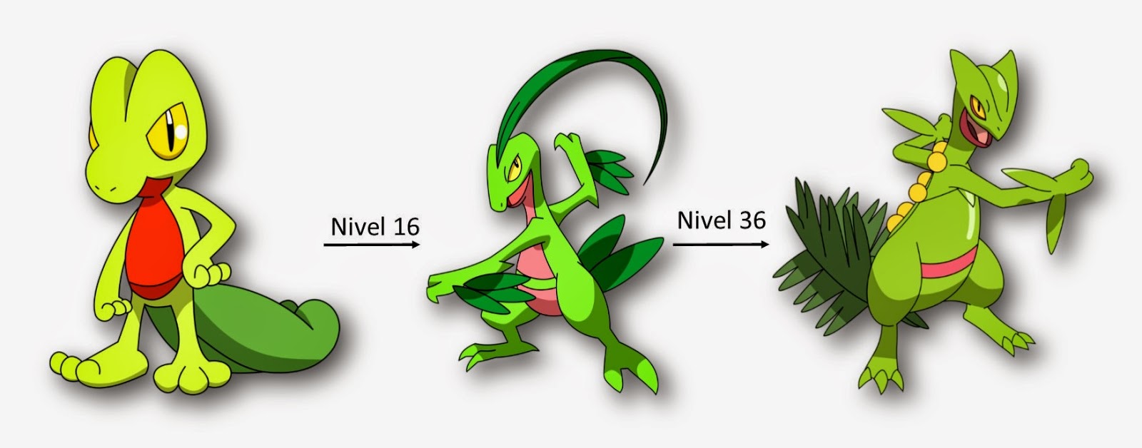 POKEadictos Tenerife: Iniciales de Hoenn(Treecko)
