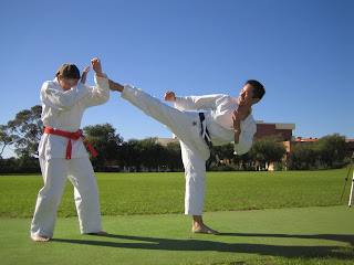 The roundhouse kick and traditional martial arts