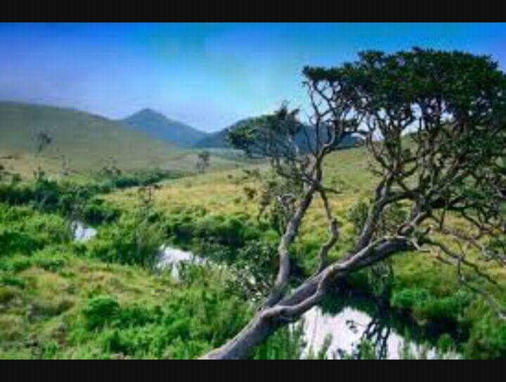 Beautiful Places In Sri Lanka