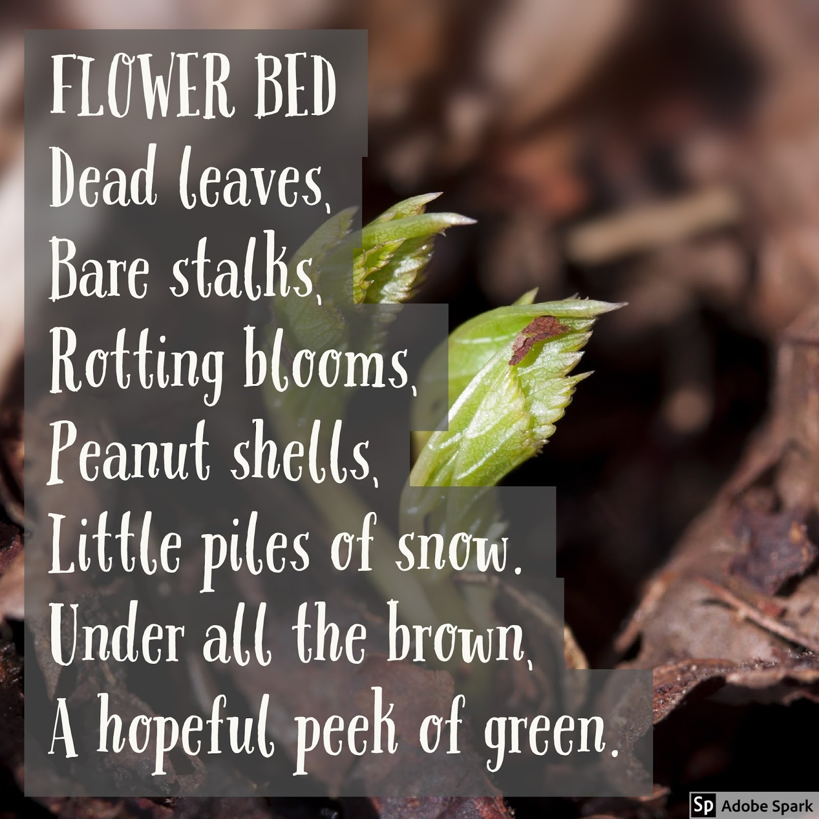 First Grade Ripples: Story Poem - National Poetry Month Challenge