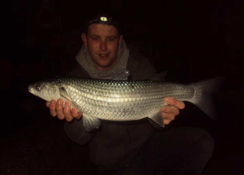Fishing Jersey Channel Islands: Mullet Bites the Bread!