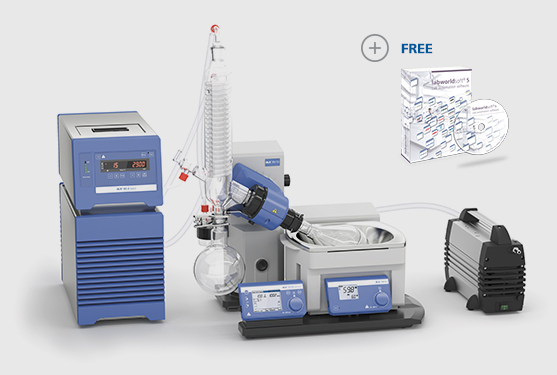 ELECTRICAL: IKA RV 10 control auto solution