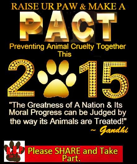 RAISE UR PAW NEWS: RAISE UR PAW & MAKE A PACT - Preventing Animal ...