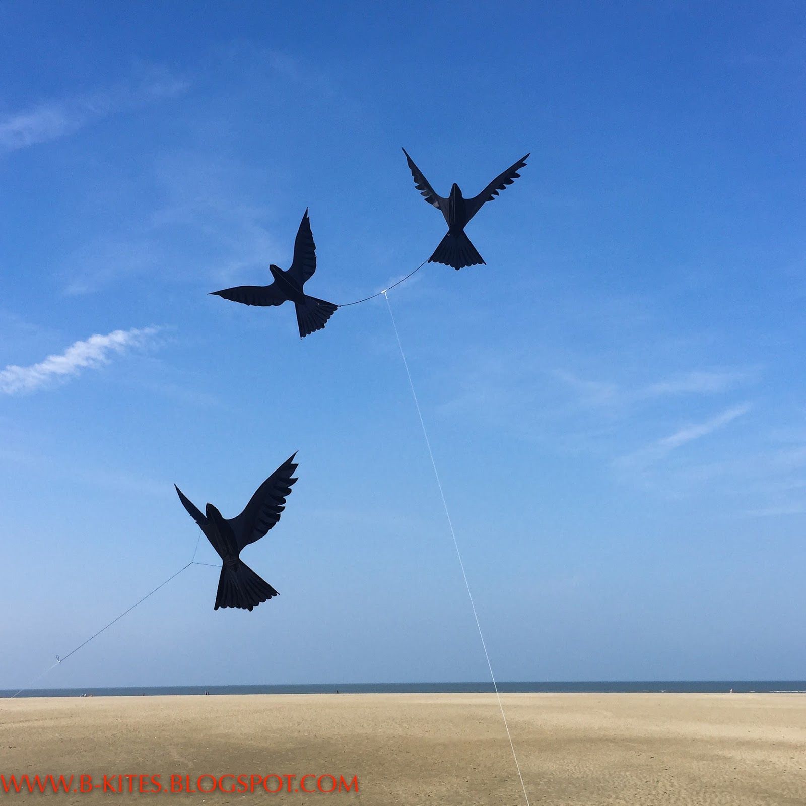 B-kites: Black doves