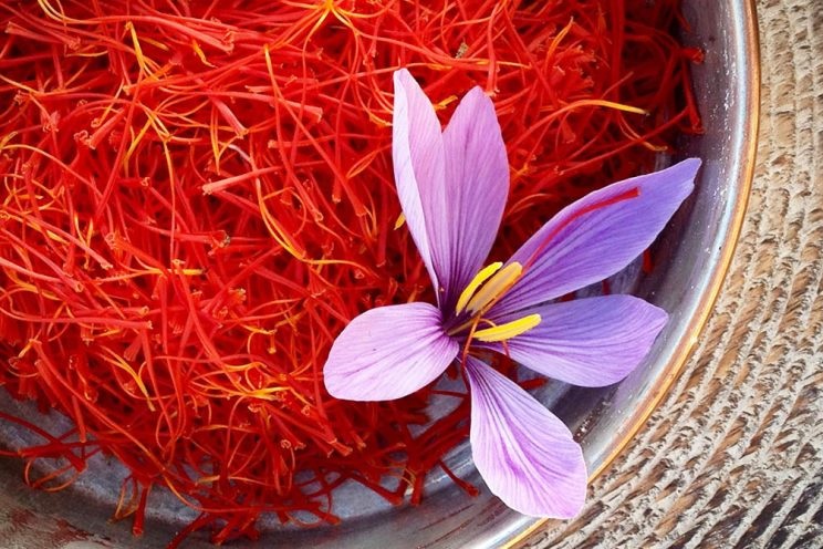 Saffron, the most expensive spice grown in Albania