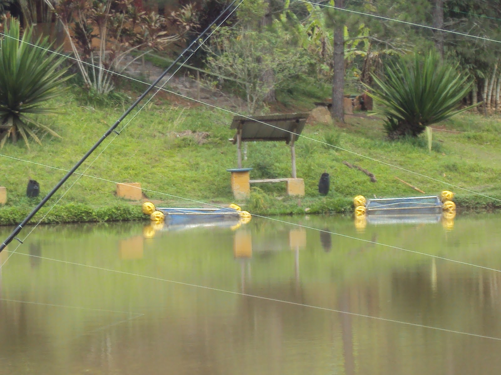 OS PESCADORES TS: pesqueiro triangulo - 03/12/2011