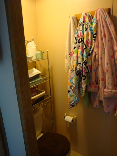 This Messy Business - Bathroom Reveal - DIY Show Off ™ - DIY Decorating ...