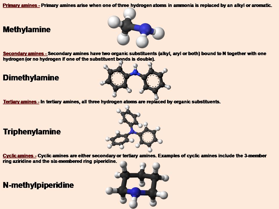 Manash (Subhaditya Edusoft): Organic Chemistry Part 4 : Amines