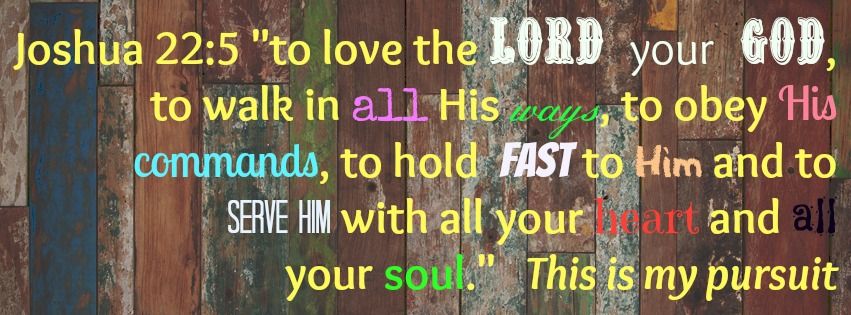 Walking in the Light : Joshua 22-24