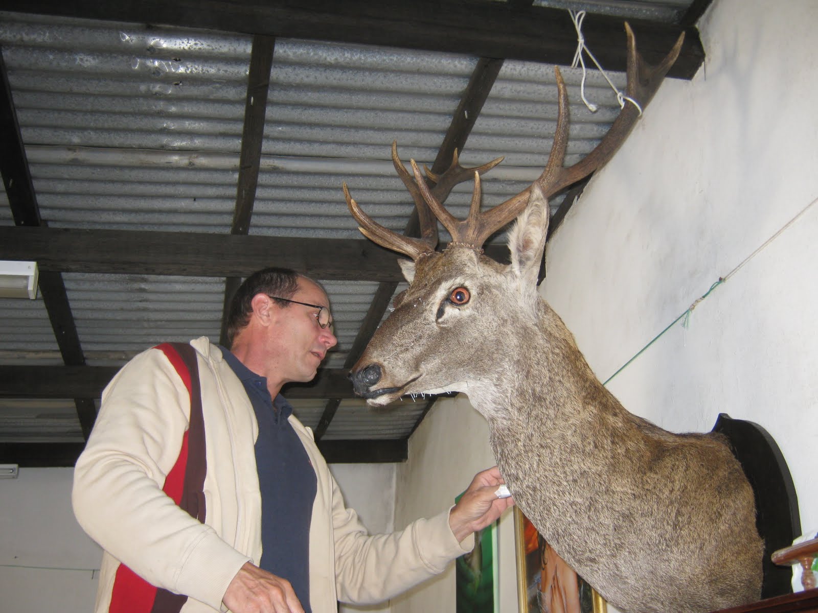 TAXIDERMIA: Animais Embalsamados