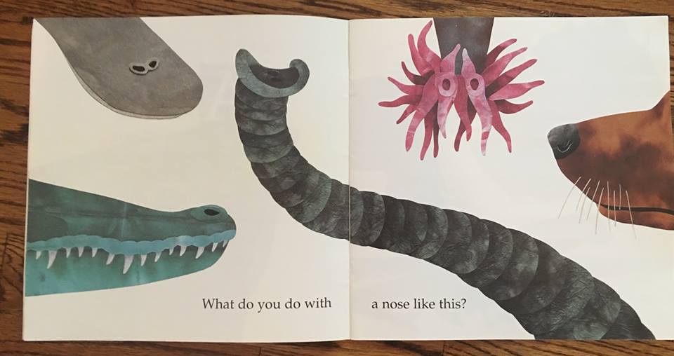 Homeschool Happenings: What Do You Do With A Tail Like This?