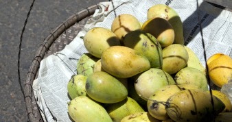 Heaven can wait : Lose Weight with Wild African Mango