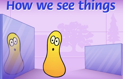 BLOG DE 6º - CEIP Daniel Martín (Alcorcón): NATURAL SCIENCE 20-21 1ST TERM