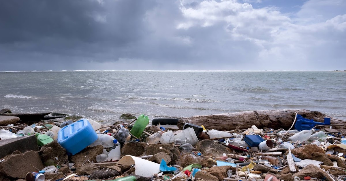 España: ¿Cómo cuidar el mar desde dentro? | Conocer Ciencia