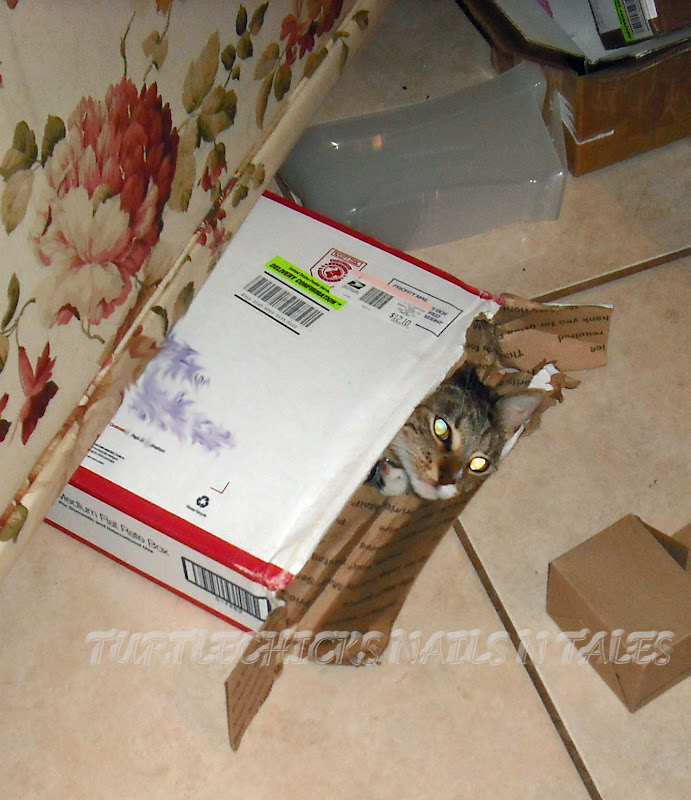 Turtlechick's Nails N Tales: Syracuse Nails and Lots of Bruce