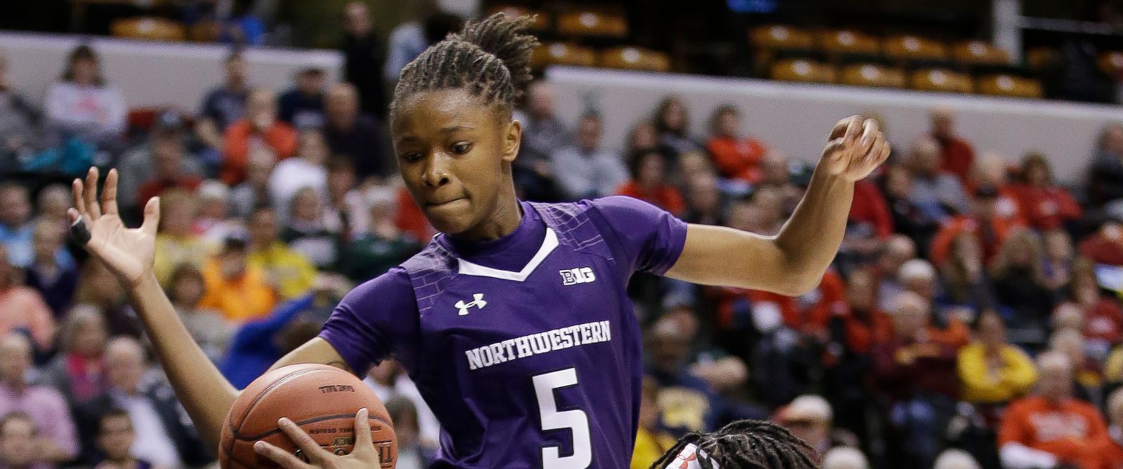 The Motley Lawyer: Pics for more go to nnAmazon.com