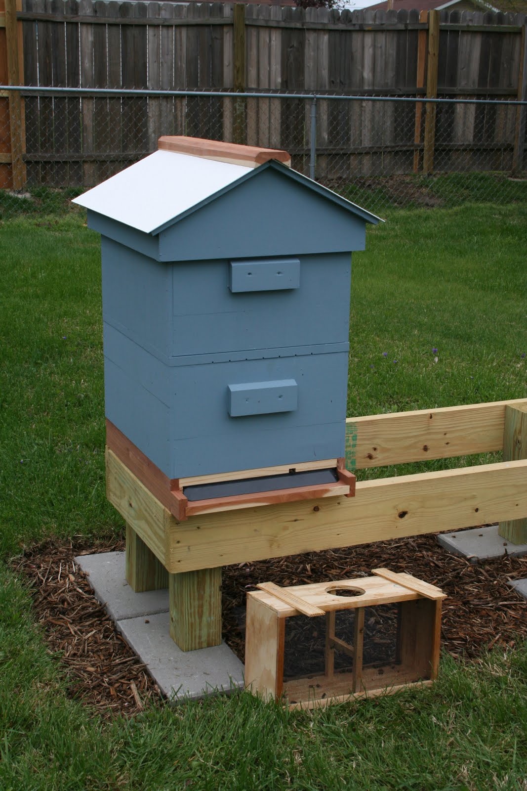 A & K's Honey Bees: At last........WE HAVE BEES!
