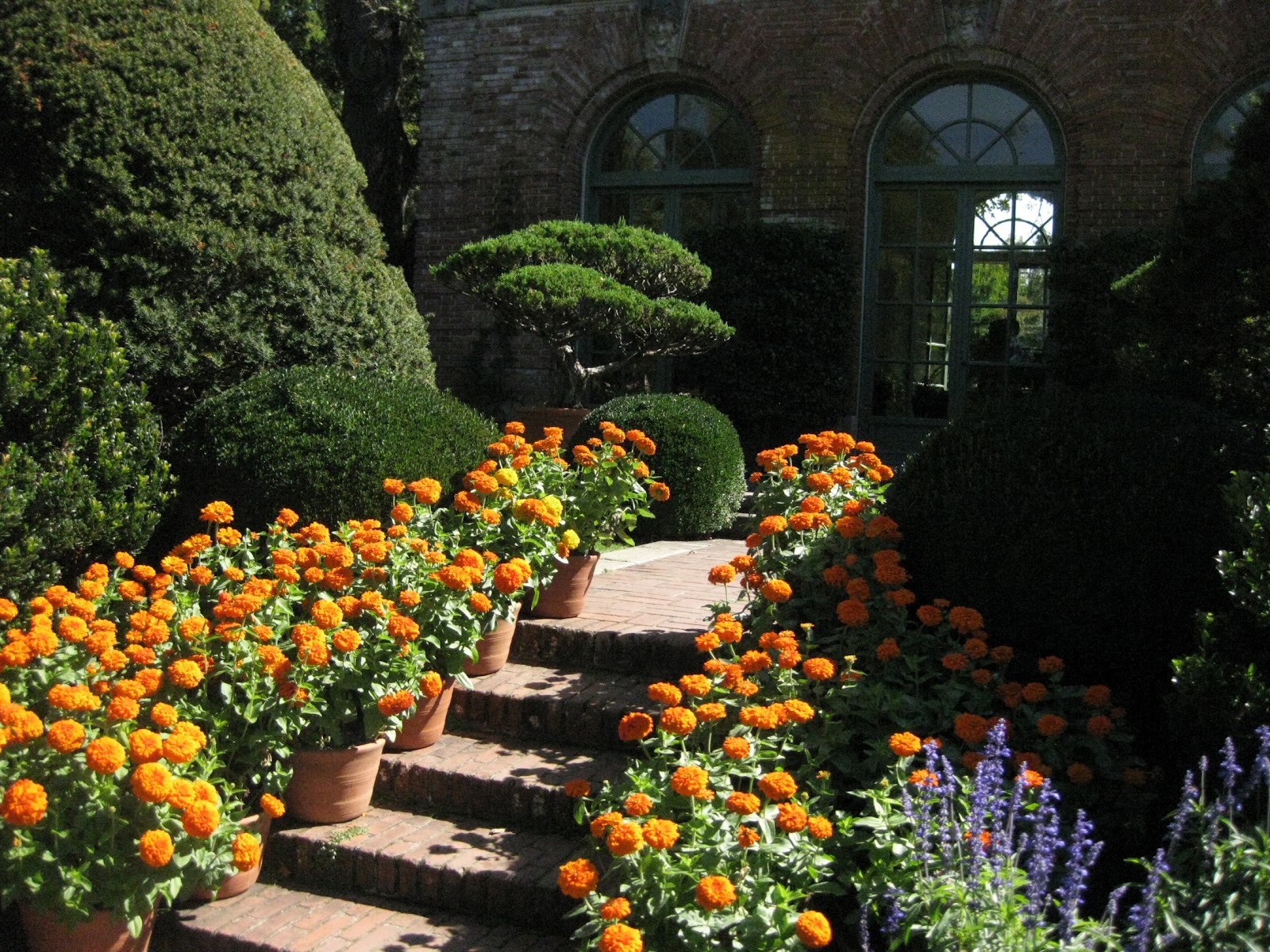 Growing A Garden In Davis: Filoli in the Fall