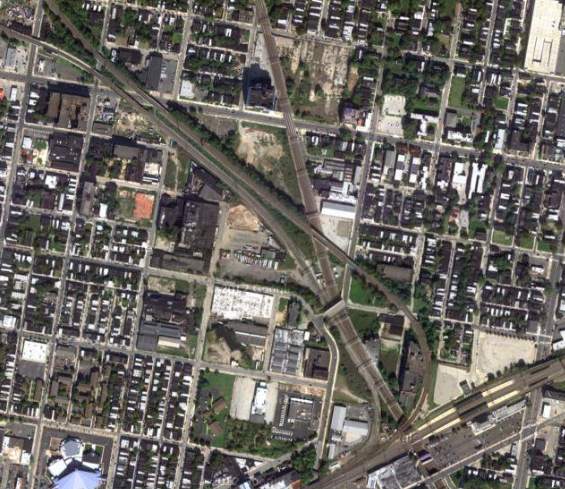 Crossing the Lines: Swampoodle Connection