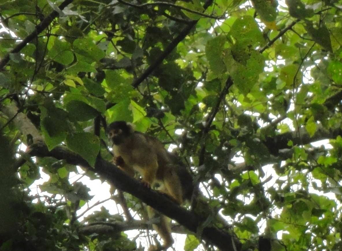 Con un par... de geólogos!: Esta vez me ha tocado Bolivia…