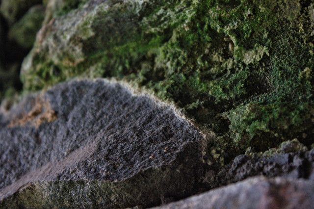 Domesticated: Rait Castle & Barevan Graveyard: Raven's Photographs