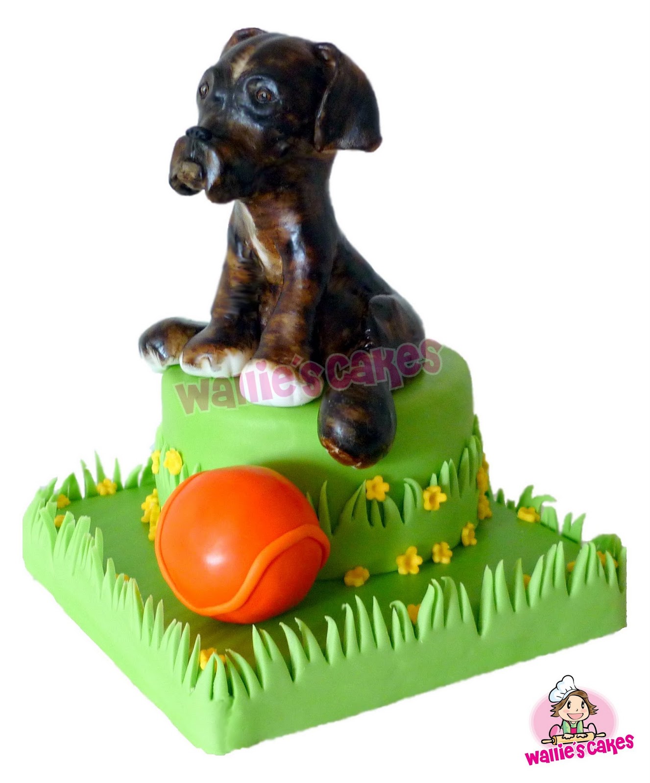 Boxer cake da Vaniglia Zenzero e Cannella su Akkiapparicette