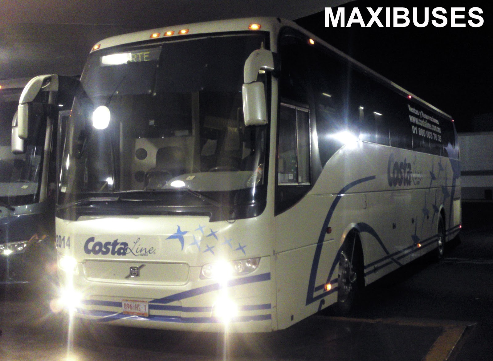 MAXIBUSES: COSTA LINE