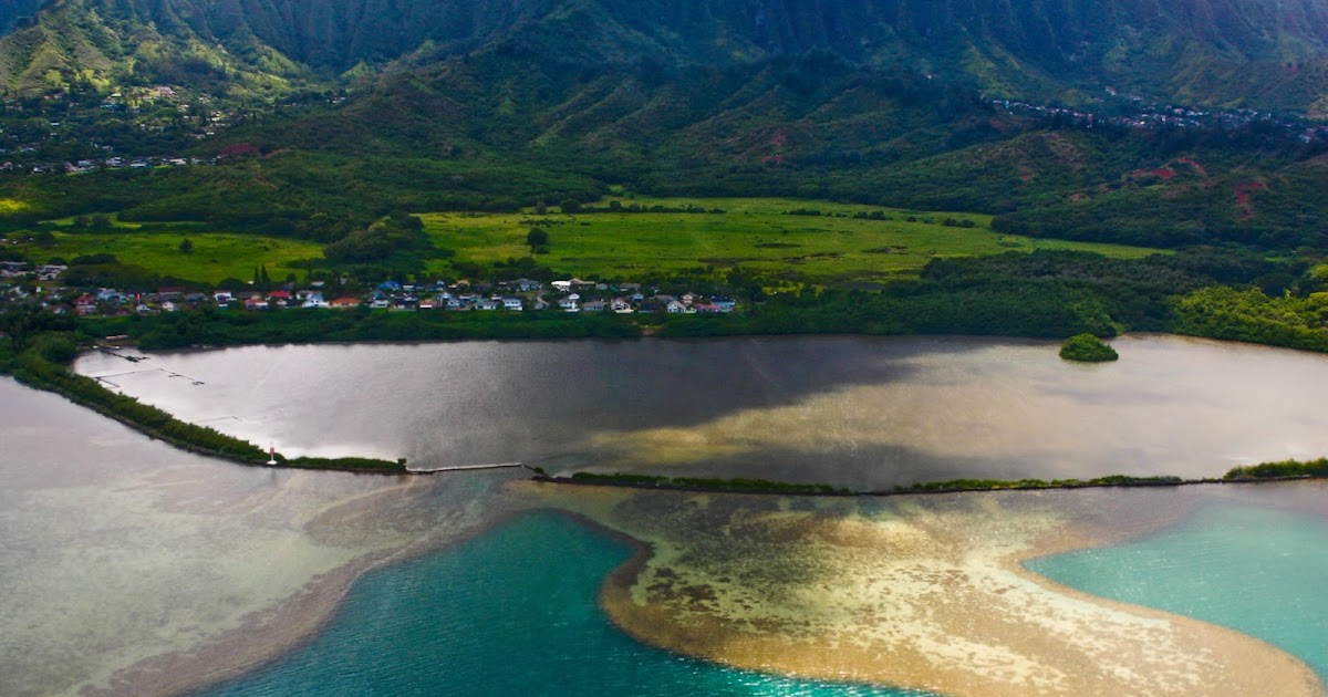 HPU ‘OHANA THIS WEEK: Transitioning Traditional Hawaiian Fishponds Into ...